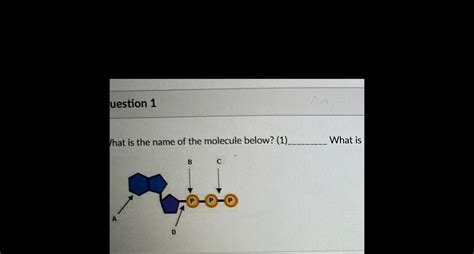 [answered] Uestion 1 What Is The Name Of The Molecule Below 1 D B C Kunduz