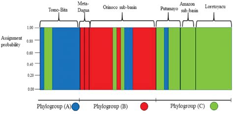 Assignment Of Bayesian Analysis Bi Under An Admixture Clustering For Download Scientific