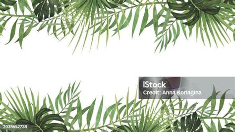 완벽 한 테두리 프레임 트로픽 잎 몬스테라와 야자수 수채화는 흰색 배경에 고립되어 있습니다 수채화 손으로 그린 식물 그림입니다 포장 템플릿 포스터를 위한 아트 디자인 종려