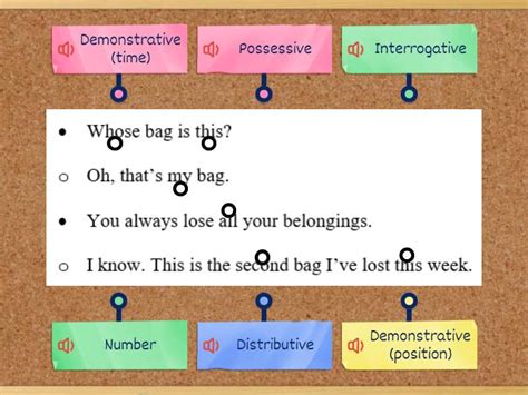 Types Of Determiners Labelled Diagram