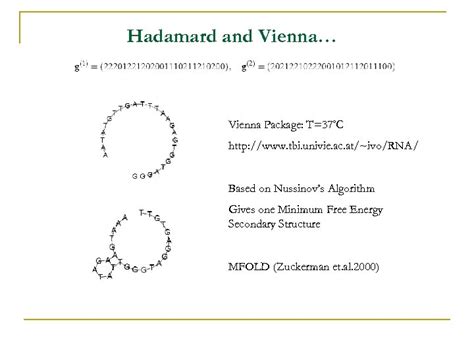 Coding For Dna Computing Combinatorial And Biophysical Aspects