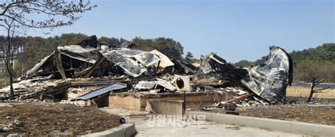 강원도 강릉 산불피해 복구계획 확정