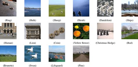 Image Forgery Detection Database Download Scientific Diagram