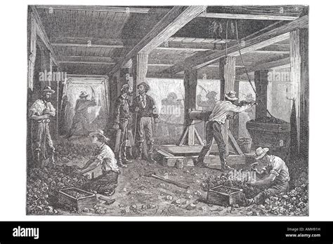 How Does Shaft Mining Work At Numbers Mcleod Blog