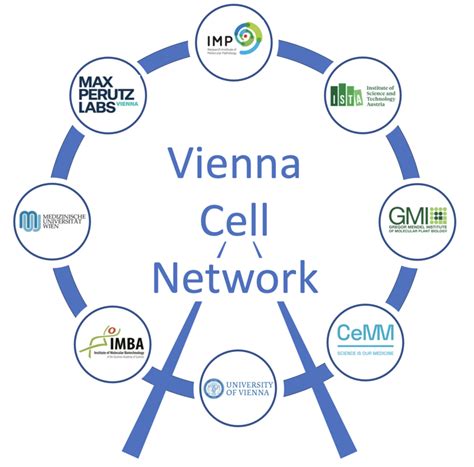 Vienna Cell Network