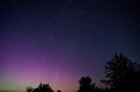 갤럭시 고요한 궤도 함수 나무 다채로운 대기의 무한 공간 무한대 미묘한 밤 사진 밤하늘 별 별을 바라보는