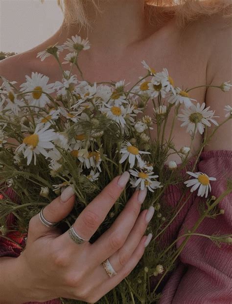 Фото с ромашками