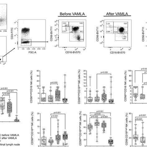 Representative Gating Strategy Used To Identify Nk Cell Subsets And