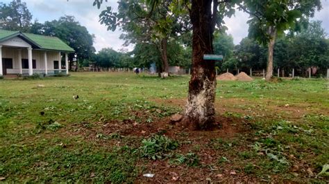 ບ້ານ ໜອງບົກໃຫຍ່ ກຸ່ມ Ii ເມືອງ ບາຈຽງຈະເລີນສຸກ ສ້າງຂະບວນການອອກແຮງງານ