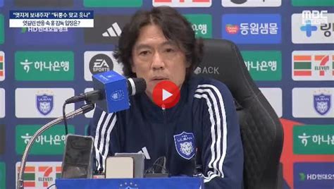 로빈 홍페르시 유머 움짤 이슈 에펨코리아