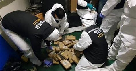 해경 특별 마약수사 전담팀 신설‥해양 마약범죄 본격 단속