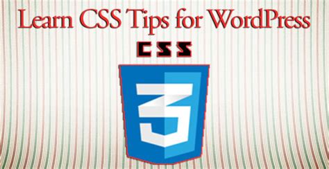 Css Tips And Tricks For Wordpress Tower Marketing Agency