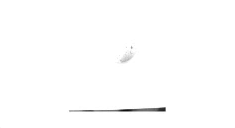 Potato 700 Object Detection Dataset By Alexey Kutyrev