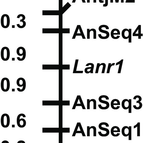 Genetic Linkage Of Sequence Specific Pcr Based Molecular Markers And Download Scientific