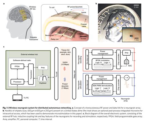 Toward Next Generation Brain Computer Interface Systems Tug Of Web