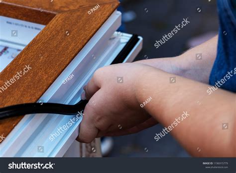 Weather Seal Images Stock Photos Vectors Shutterstock Weather Seal Images Stock Photos Vectors Shutterstock