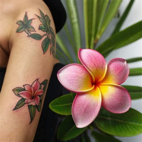 Plumeria Tattoo Meaning Symbolism Colors And Placement