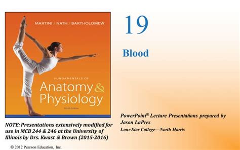 chpt 19 brown su16 pdf