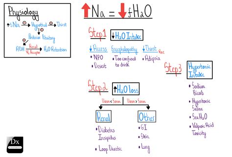 Dx Schema Hypernatremia The Clinical Problem Solvers
