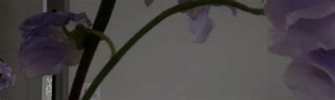 The Most Insightful Stories About Erotic Medium