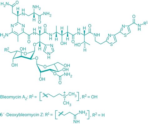 Bleomycin Potency Boost