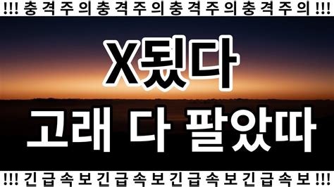 리플 X됬다무조건 X됬다 Youtube