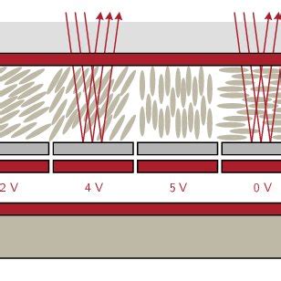 Structure Of A Spatial Light Modulator Download Scientific Diagram