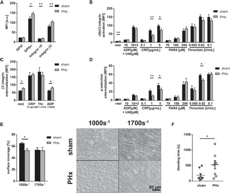 Platelet Activation Defects And Reduced Thrombus Formation Lead To Download Scientific Diagram