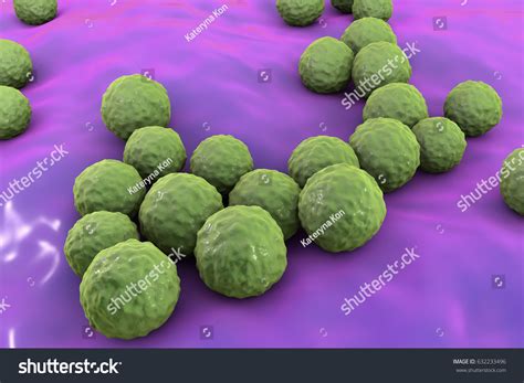 Bacteria Enterococcus 3d Illustration Grampositive Cocci Stock