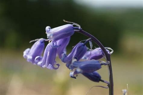 What Is Diffraction How To Avoid Out Of Focus Photos