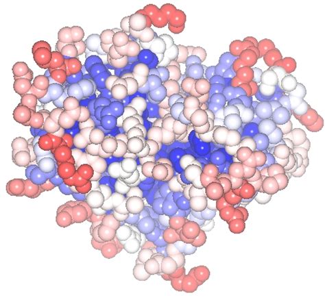 CCP Molecular Graphics Structure Analysis