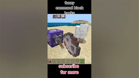 Amazing Minecraft Command Block Hacks Minecraft Shorts Youtube