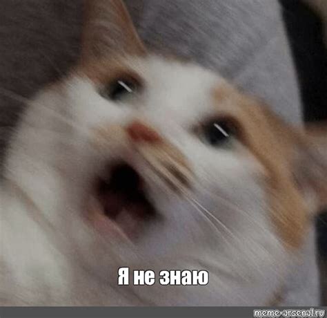 Meme Я не знаю All Templates Meme