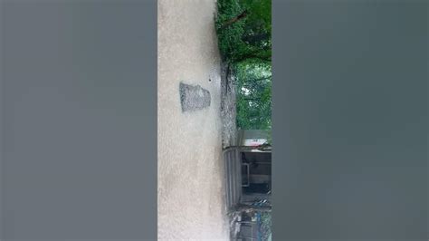 বৃষ্টির জল জমে বন্যার মত হয়ে গিয়েছে Youtube