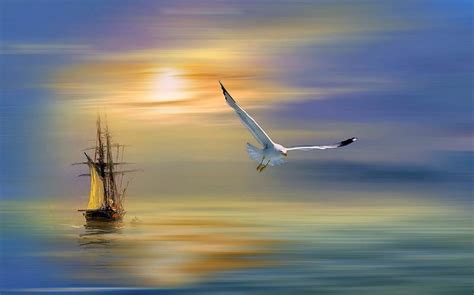 Exploring New Horizons