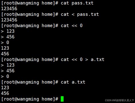 shell脚本编程规范与变量 CSDN博客