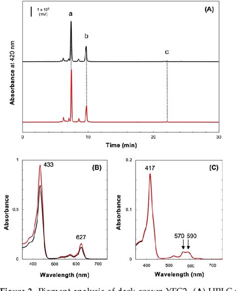 Figure 3 From Extracellular Vesicle Mediated Secretion Of