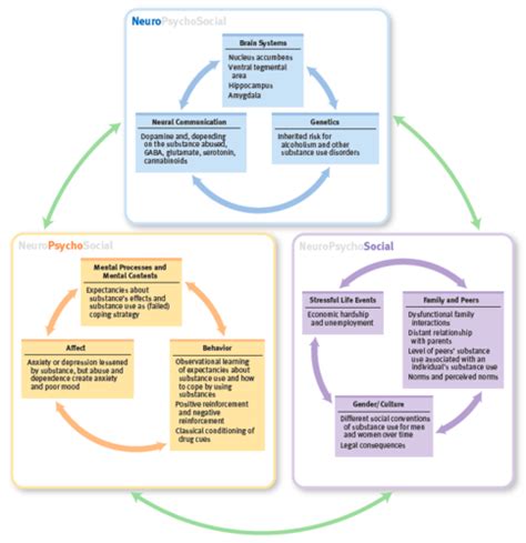 PSYC 3606 Final Exam Flashcards Quizlet PSYC 3606 Final Exam Flashcards Quizlet