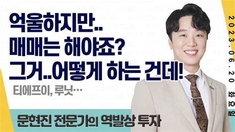 20230620 문현진의 역발상 투자 억울하지만 매매는 해야죠 그거 어떻게 하는 건데 티에프이 흥아해운