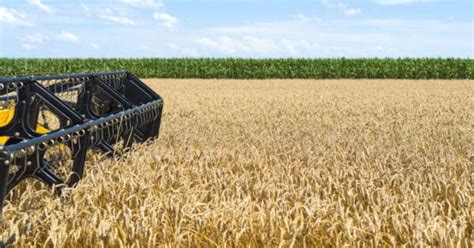 Types Of Biomass A Detailed Look Electric Guide