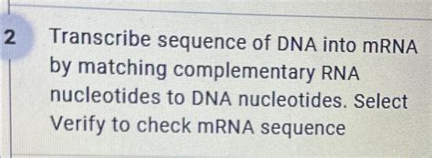 Solved 2 Transcribe Sequence Of DNA Into MRNA By Matching Chegg Com