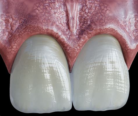 SSS Teeth Shader Blender Tests Blender Artists Community