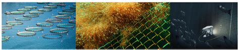 Our Paper Titled Aquaculture Defects Recognition Via Multi Scale