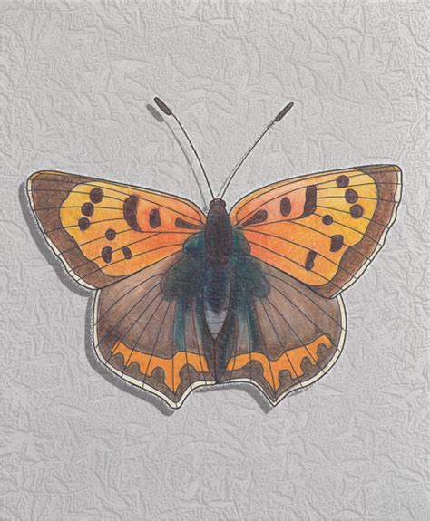 Small Cooper — Melbry Arts