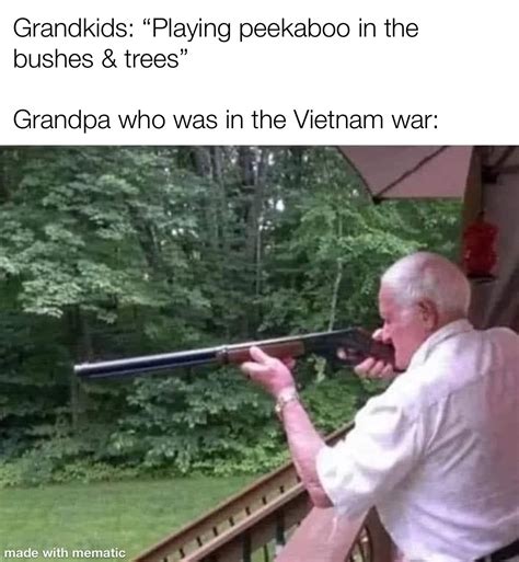 Vietnam War Meme Chameleon Memes
