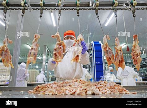 Luannan County Hebei Province China July 28 2020 Workers Are Busy