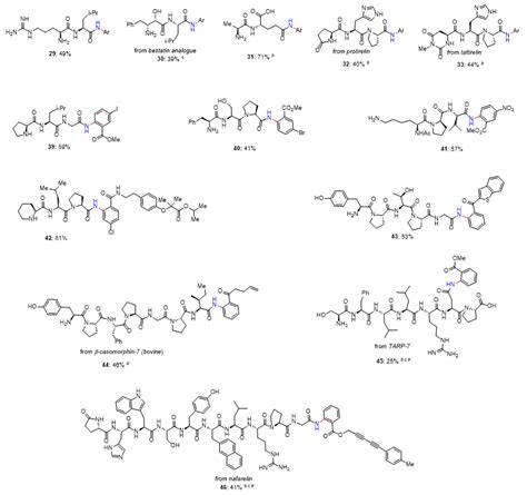南京大学谢劲课题组JACS金银携手多肽的酰胺基团高选择性C N偶联 X MOL资讯