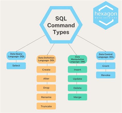 Hexagon Data Services On Linkedin Heres Our Hexagon Guide To Sql Command Types Hexagon Data Services On Linkedin Heres Our Hexagon Guide To Sql Command Types