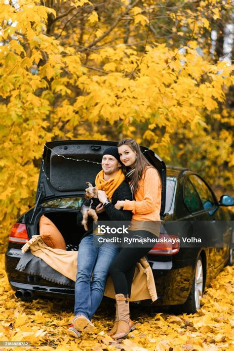 사랑에 빠진 젊은 커플이 가을 숲에서 작은 개와 함께 검은 차의 열린 트렁크에 앉아 있습니다 2명에 대한 스톡 사진 및 기타