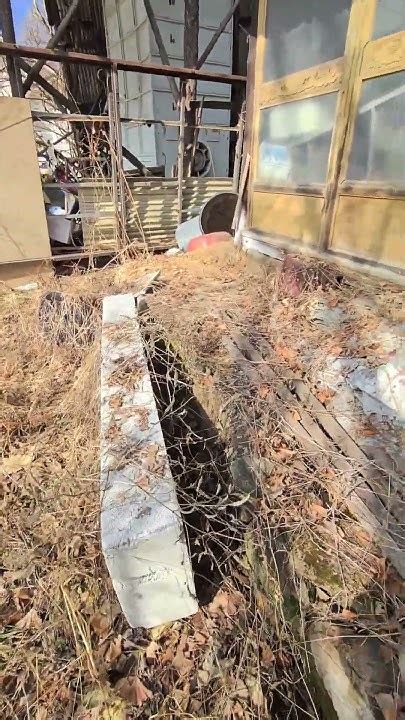 배고픈 턱시도 코숏 고양이가 사는 빈집 Youtube